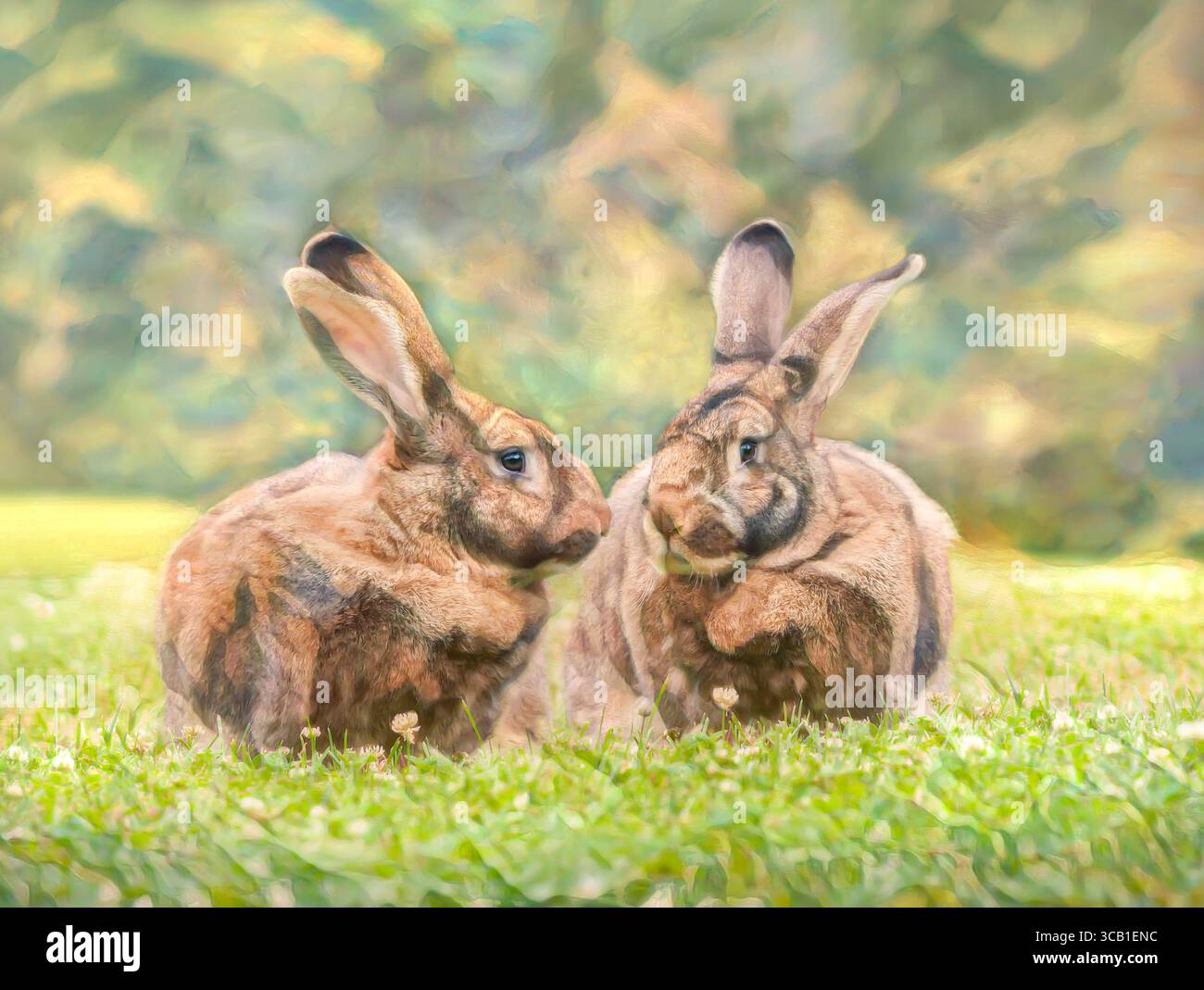 styliized digital photo art Flemish Giant Rabbit Pair on lawn Stock ...