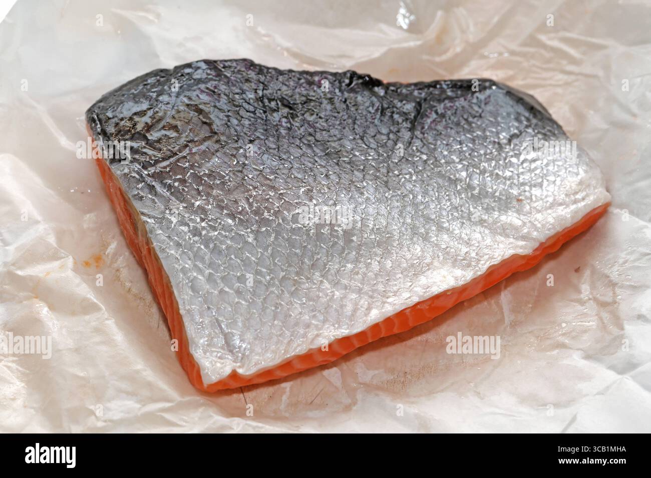 Fische als Lebensmittel Das Filet von einem Köhler, der als ...