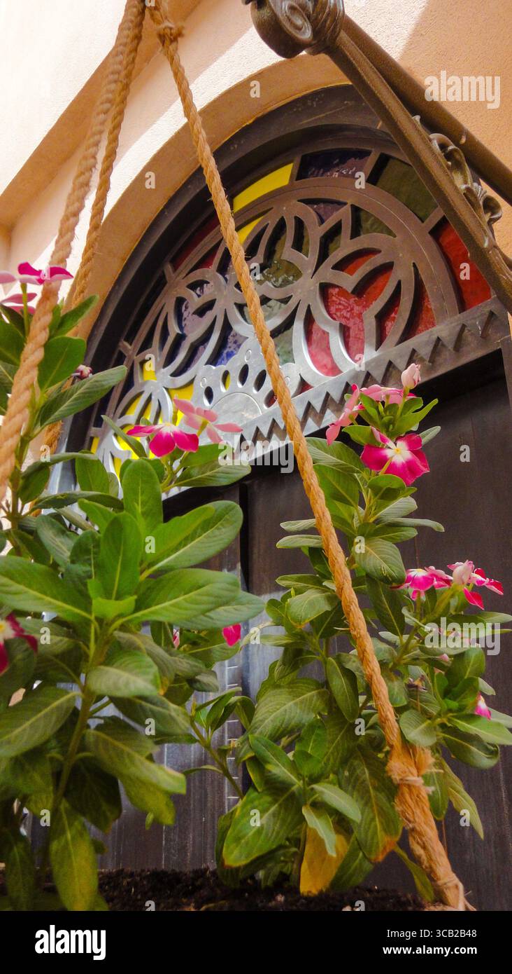 A close-up of a potted plant with pink flowers next to an ornate ...