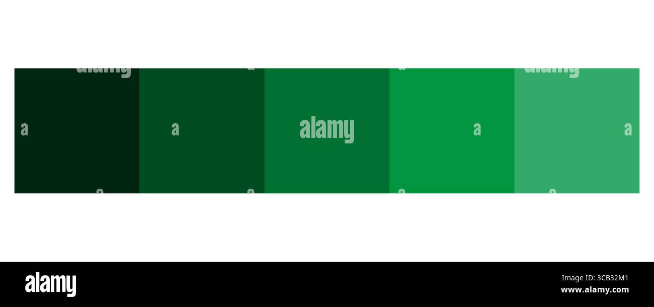 Green color palette. Graded color swatches. Five tones Vector. Dark ...