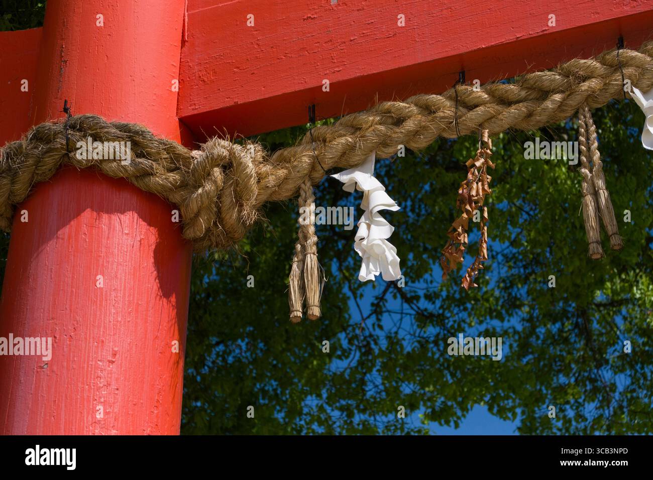 Close-up of traditional Japanese shimenawa rope on a red torii gate ...