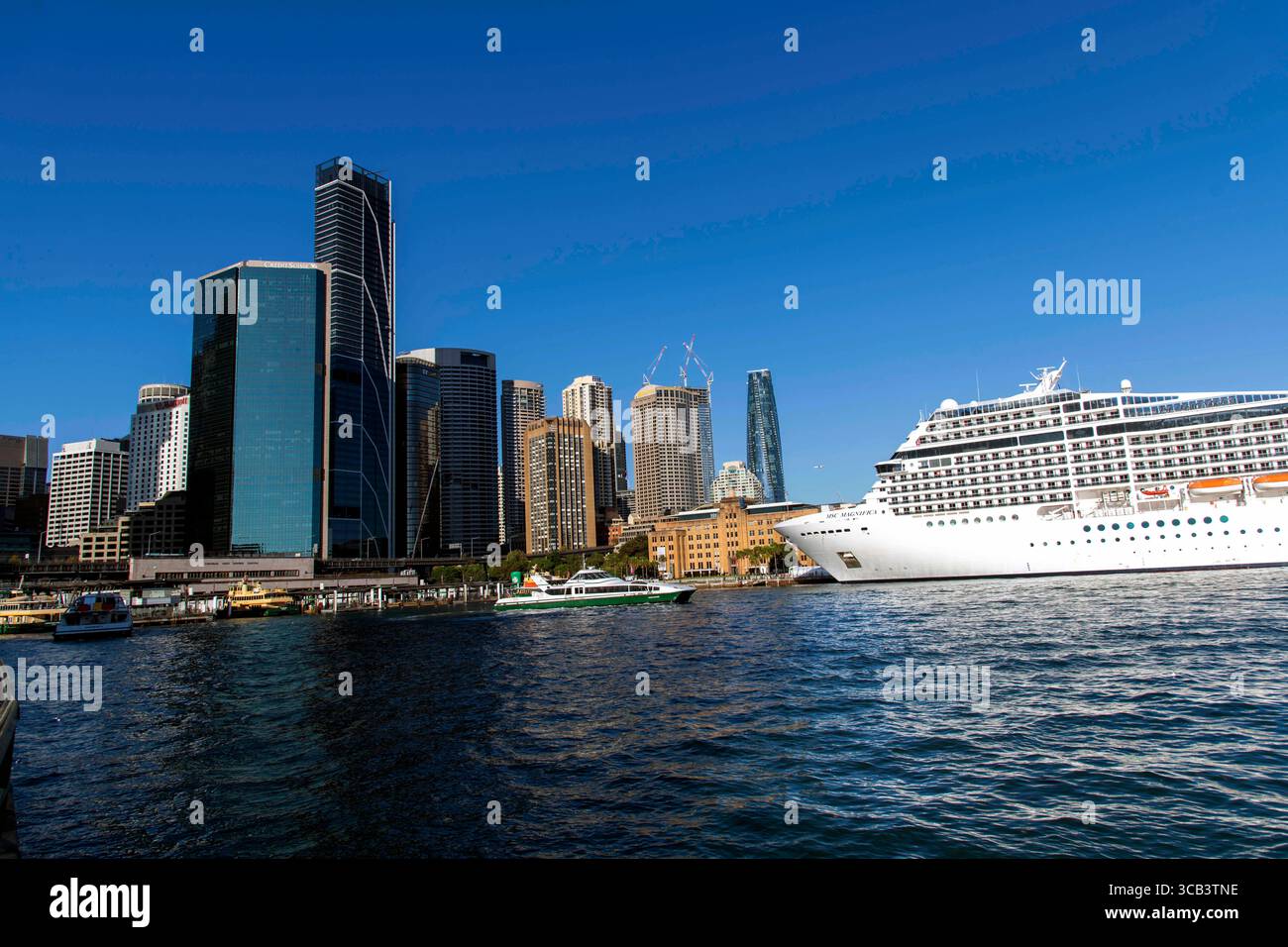 Msc magnifica sydney harbour hi-res stock photography and images - Alamy