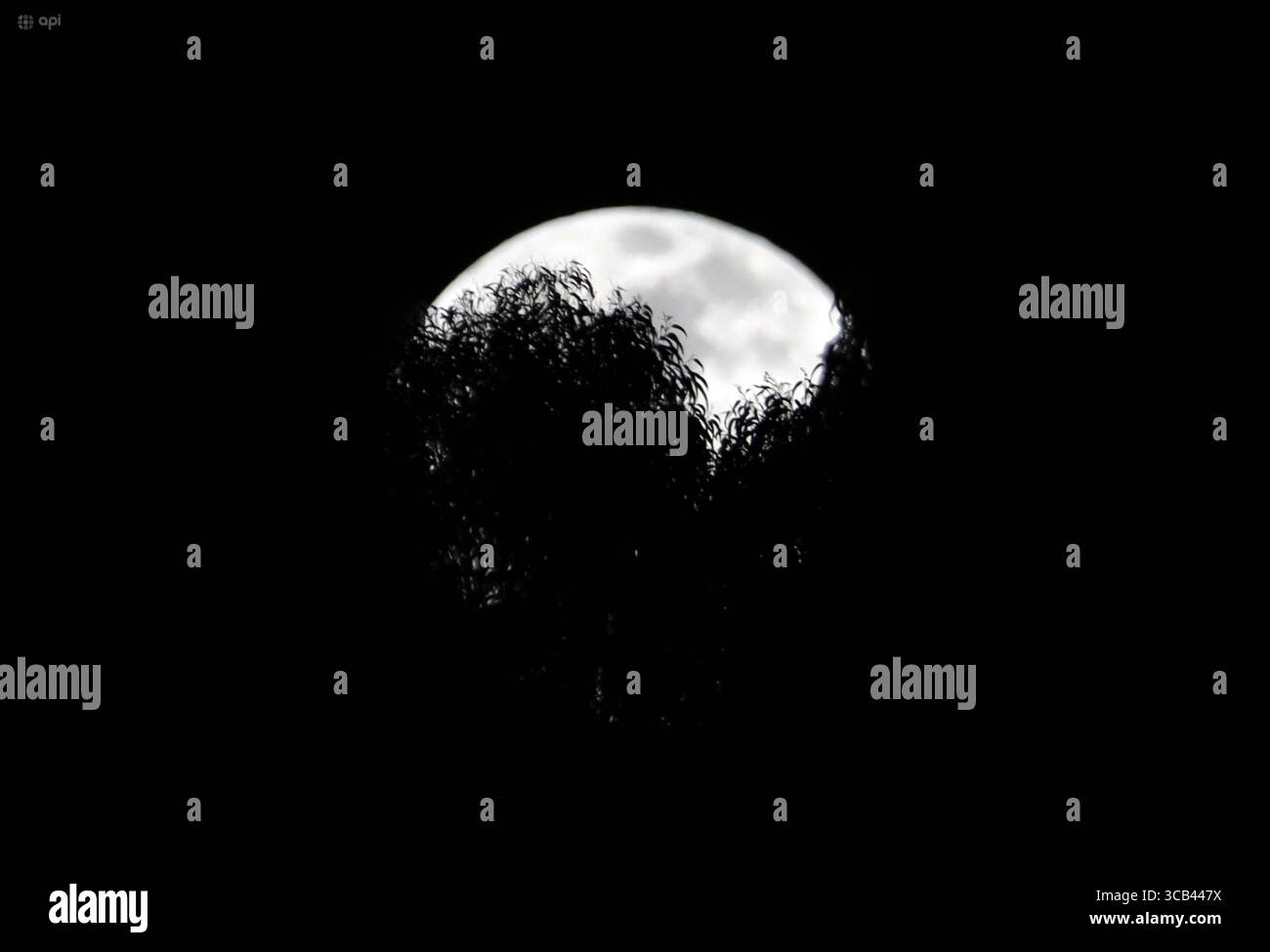 CUENCA FULL MOON Cuenca,Ecuador August 7, 2025 Todays moon, August 7 ...