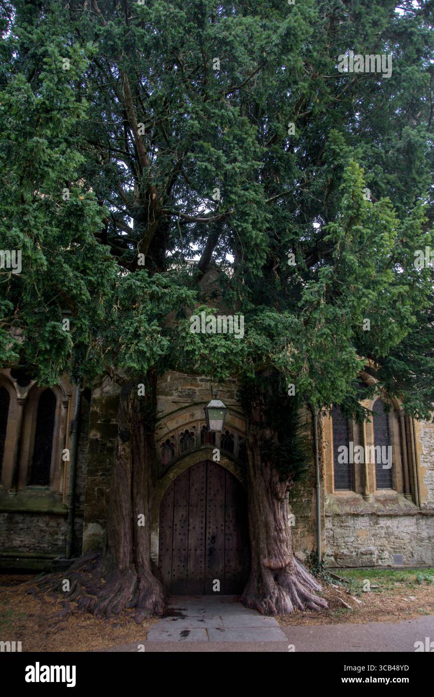 JRR Tolkien took ancient yew trees frame the North door of Church, as ...