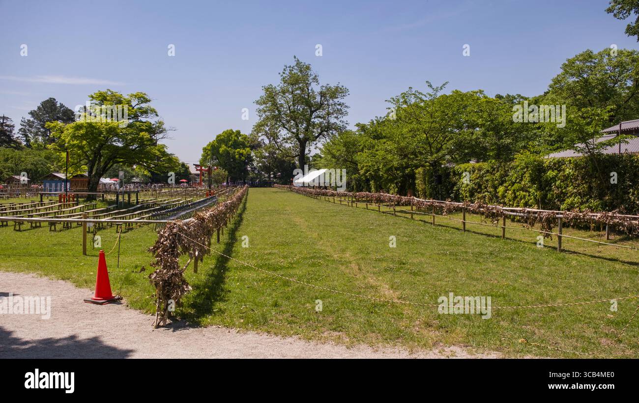 Grass racecourse used for Kamo Kurabeuma horse race ritual at Kamigamo ...
