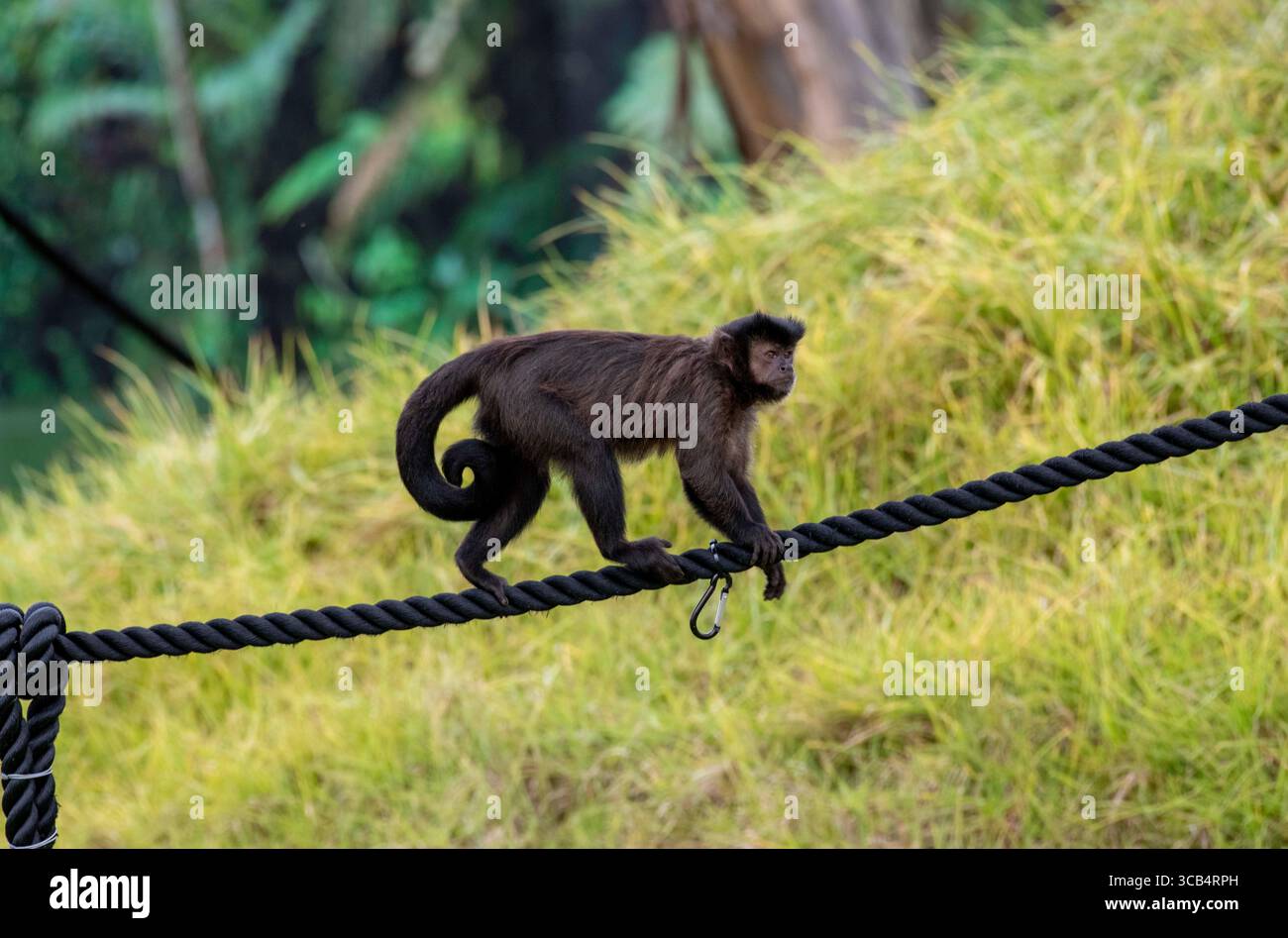 Trinidad fr hi-res stock photography and images - Alamy