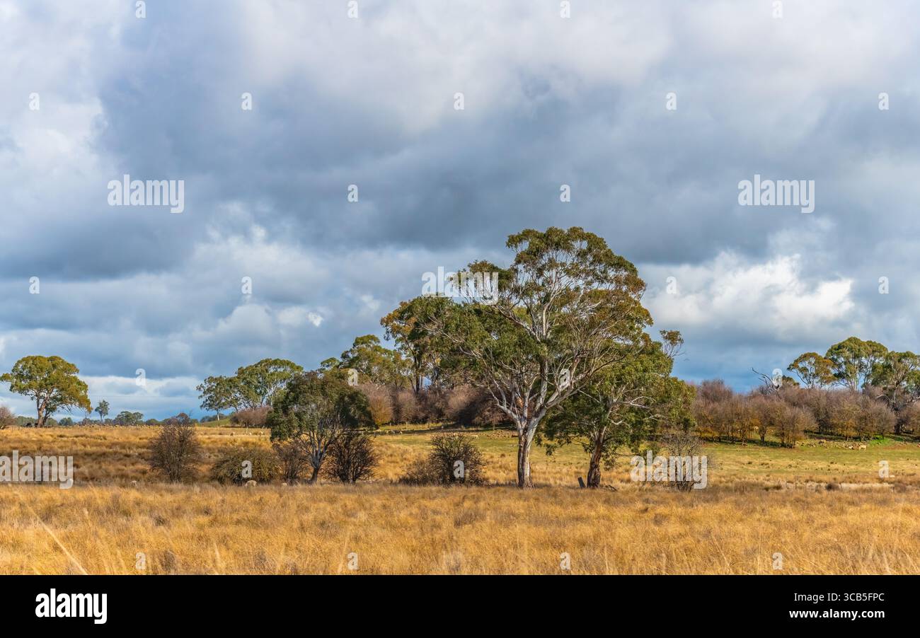Winter views of the countryside from Blayney through Millthorpe to ...