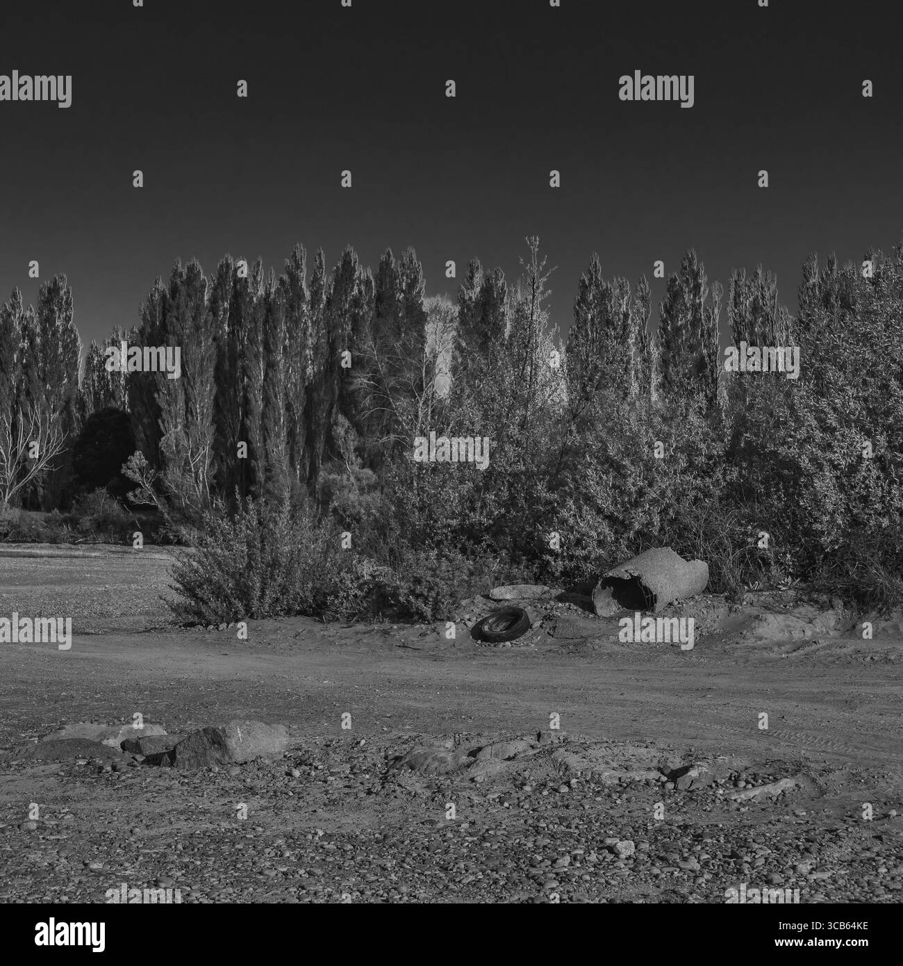 Riverside plants Black and White Stock Photos & Images - Alamy