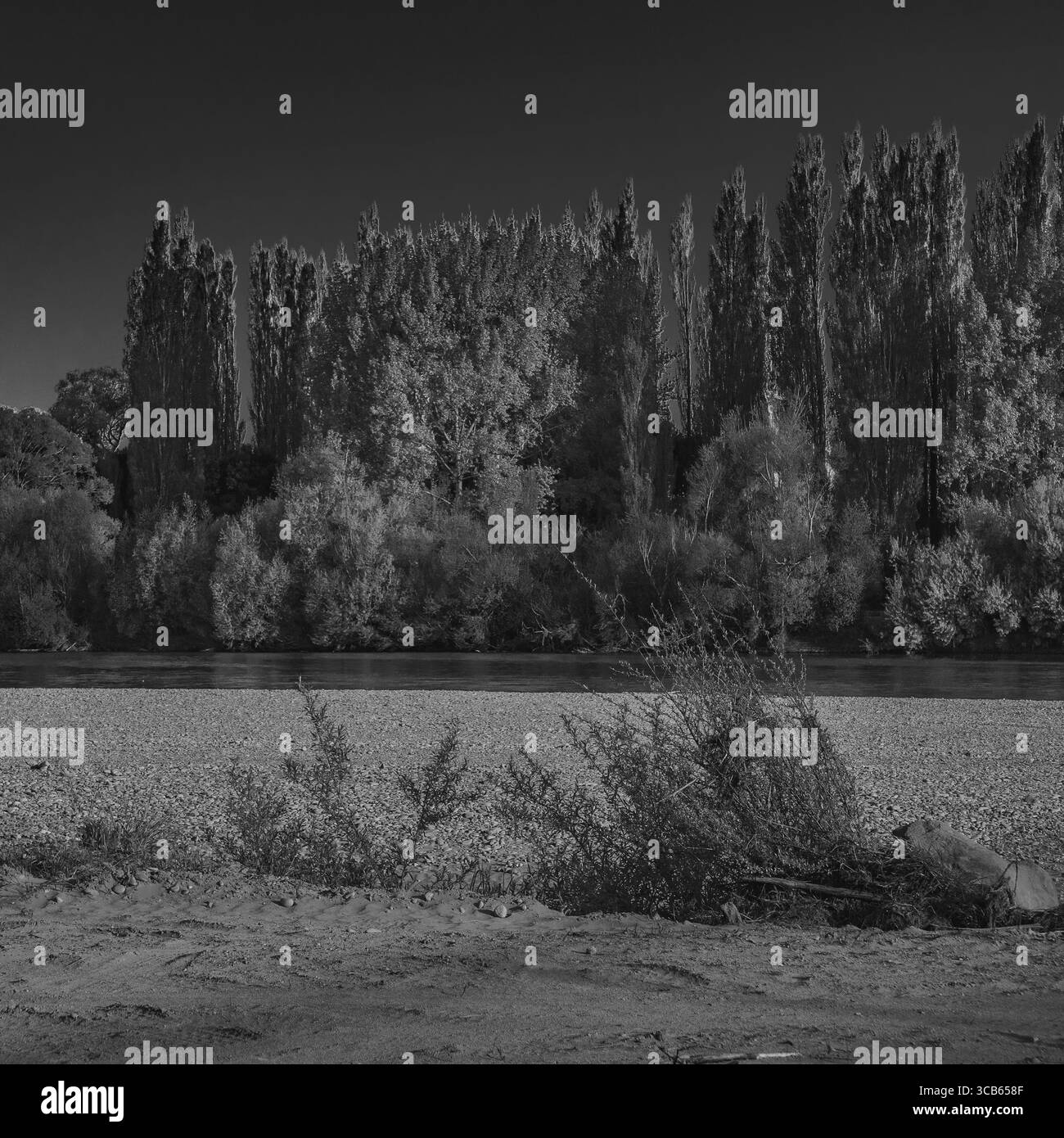 Riverbank Black and White Stock Photos & Images - Alamy