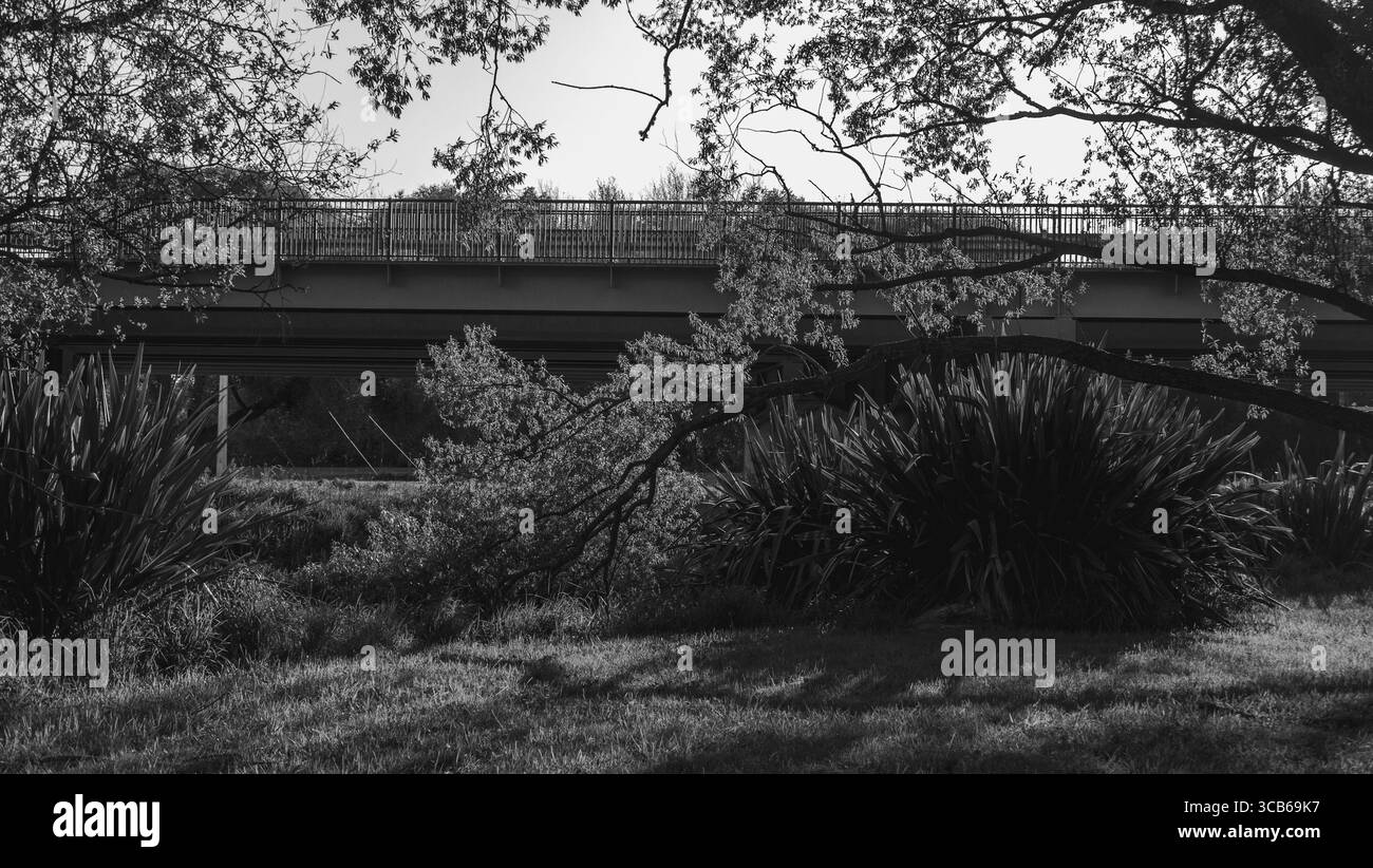 Forest edge scenery landscape Black and White Stock Photos & Images - Alamy