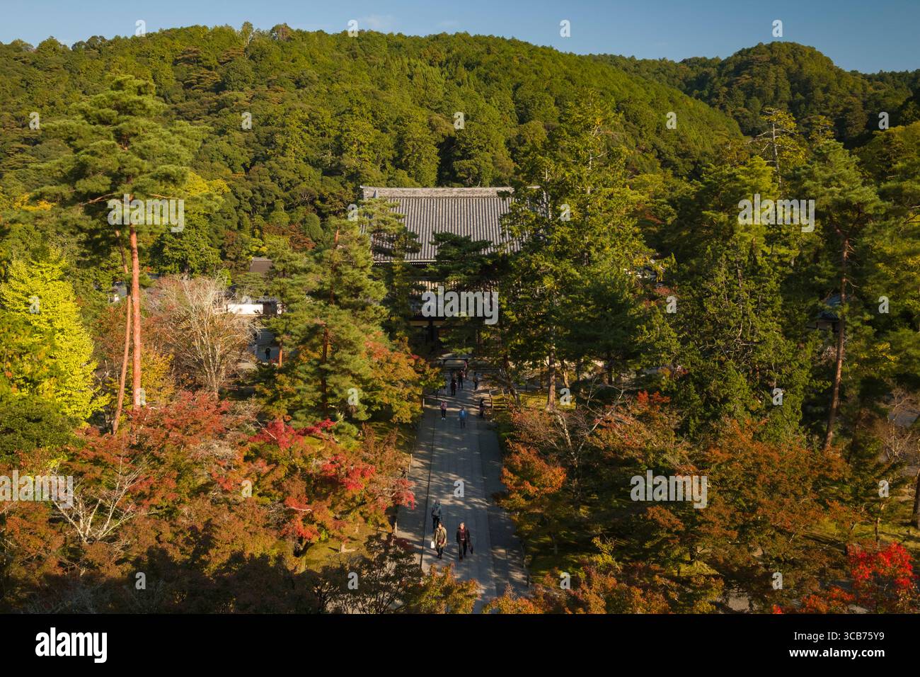 Nanzenji Hatto Lecture Hall nestled amidst a forest of vibrant autumn ...