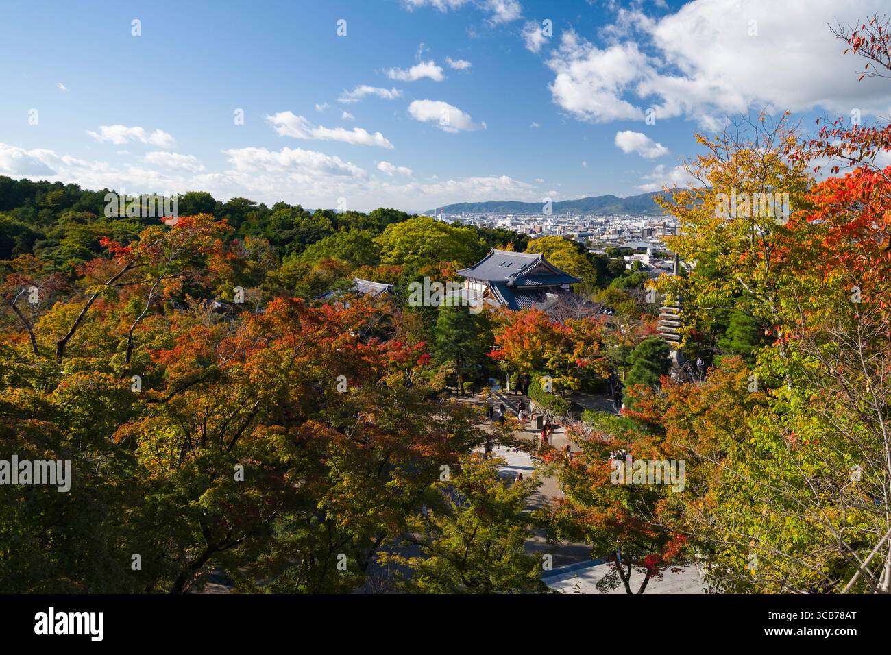 A vibrant autumn scene featuring a traditional wooden temple nestled ...