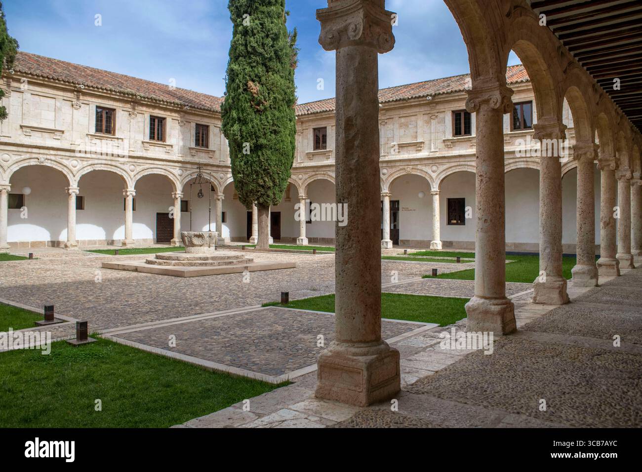 Swan motif hi-res stock photography and images - Alamy