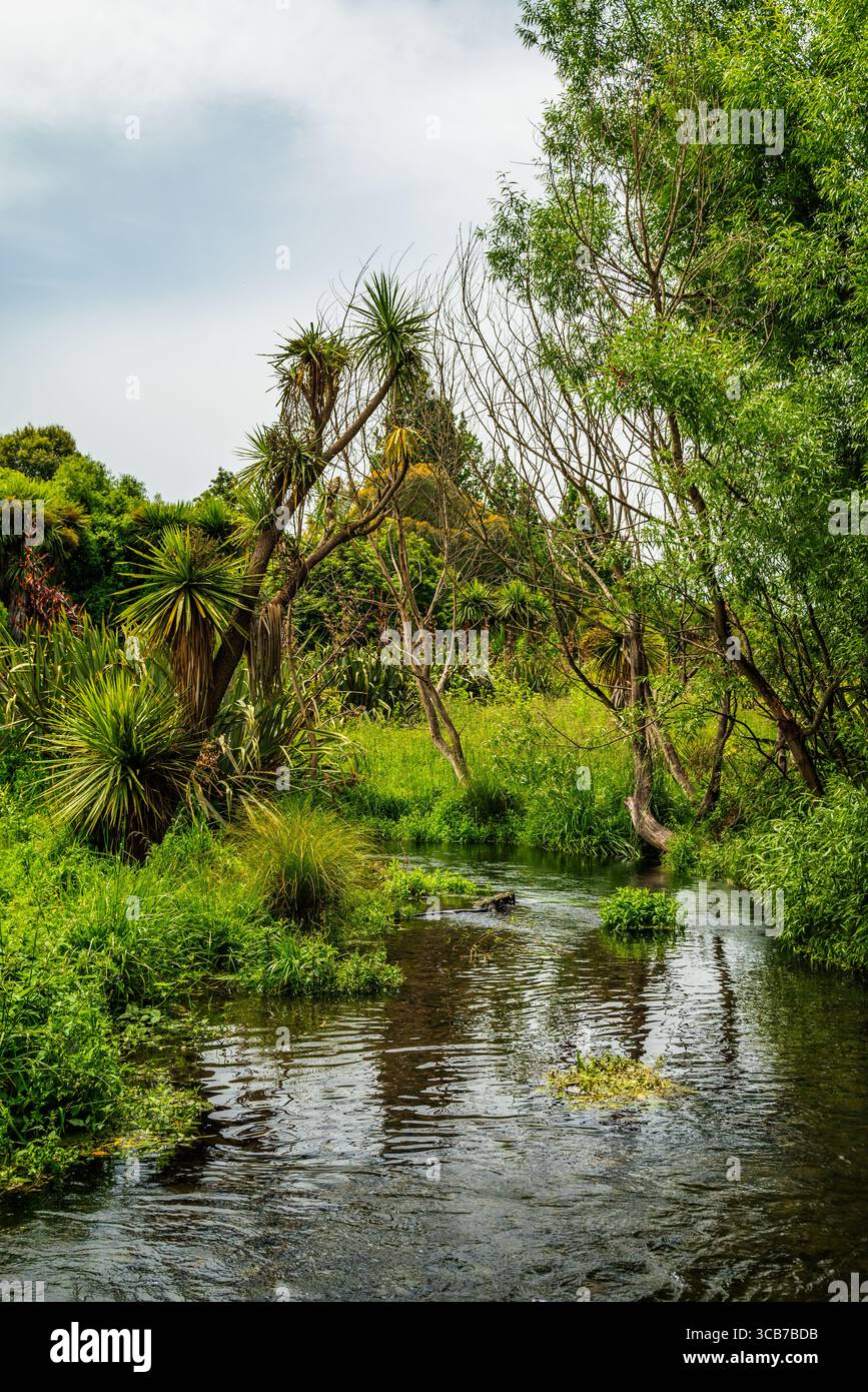 Exploring the Styx Mill Conservation Reserve with my Girlfriend Stock ...