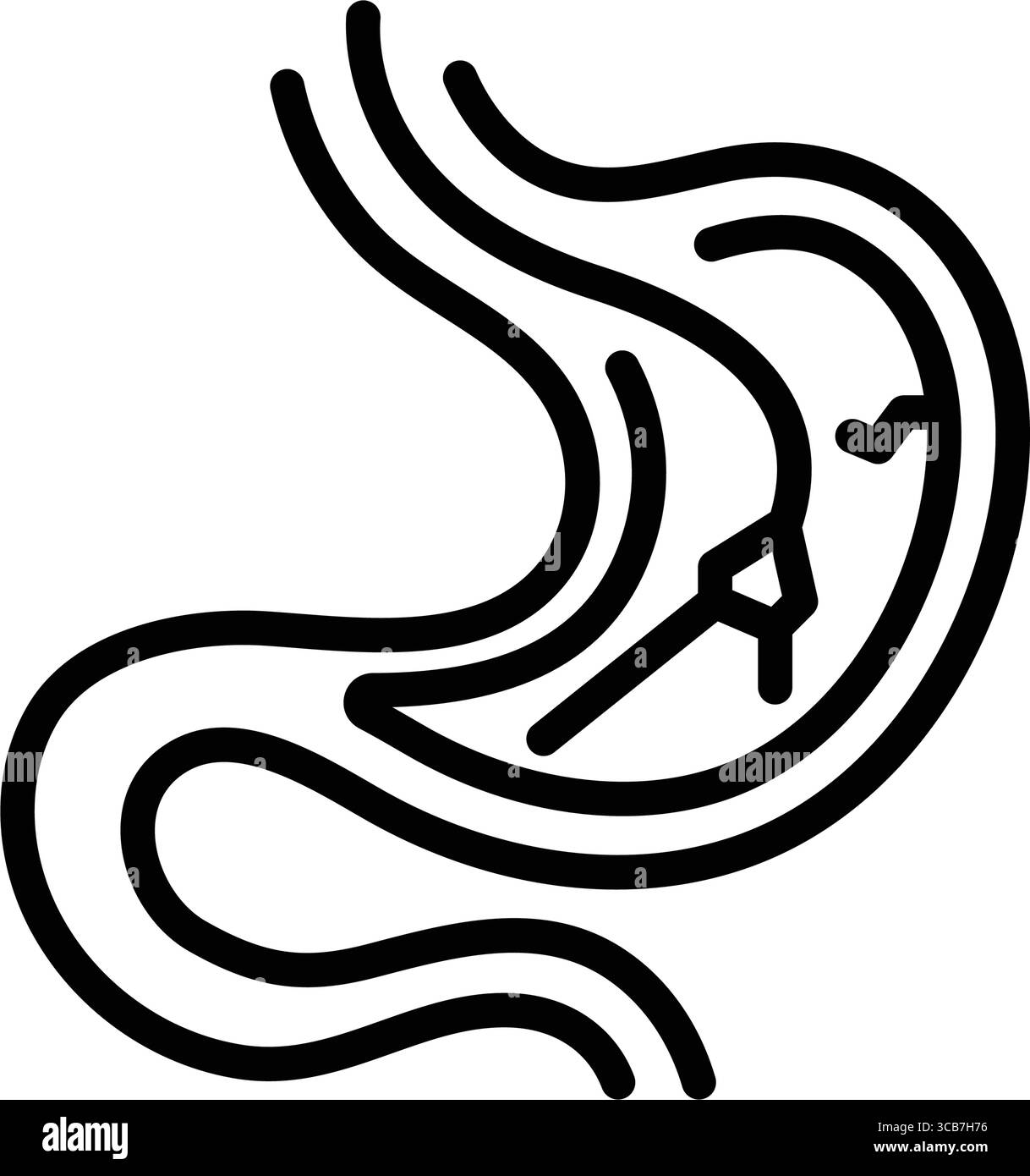 Gastroscopy stomach Cut Out Stock Images & Pictures - Alamy