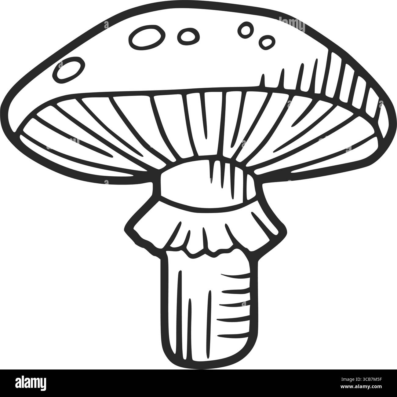 White edible mushroom growing Black and White Stock Photos & Images - Alamy