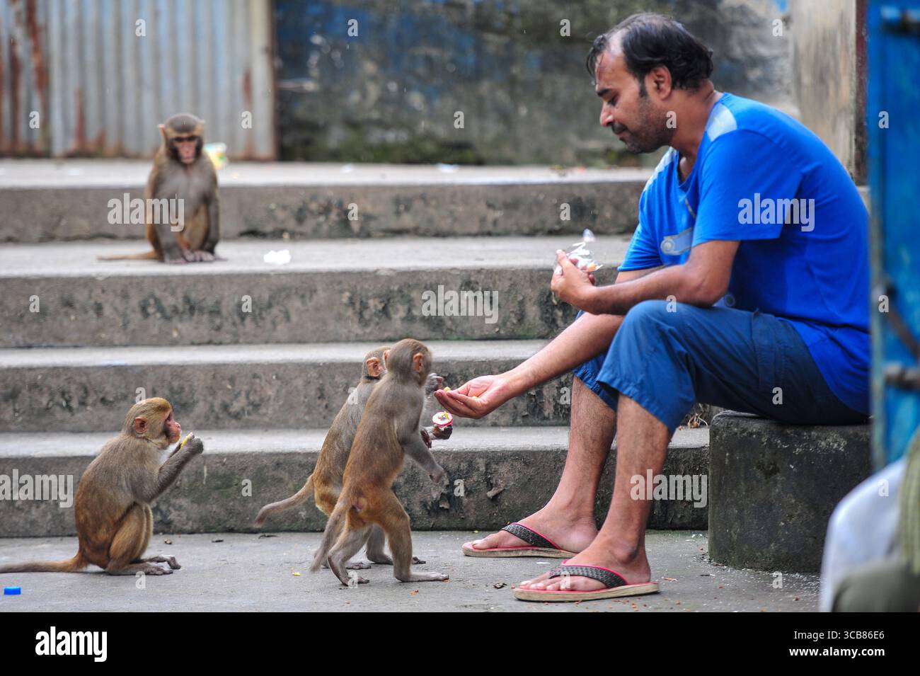 World animal welfare day 2023 hi-res stock photography and images - Alamy