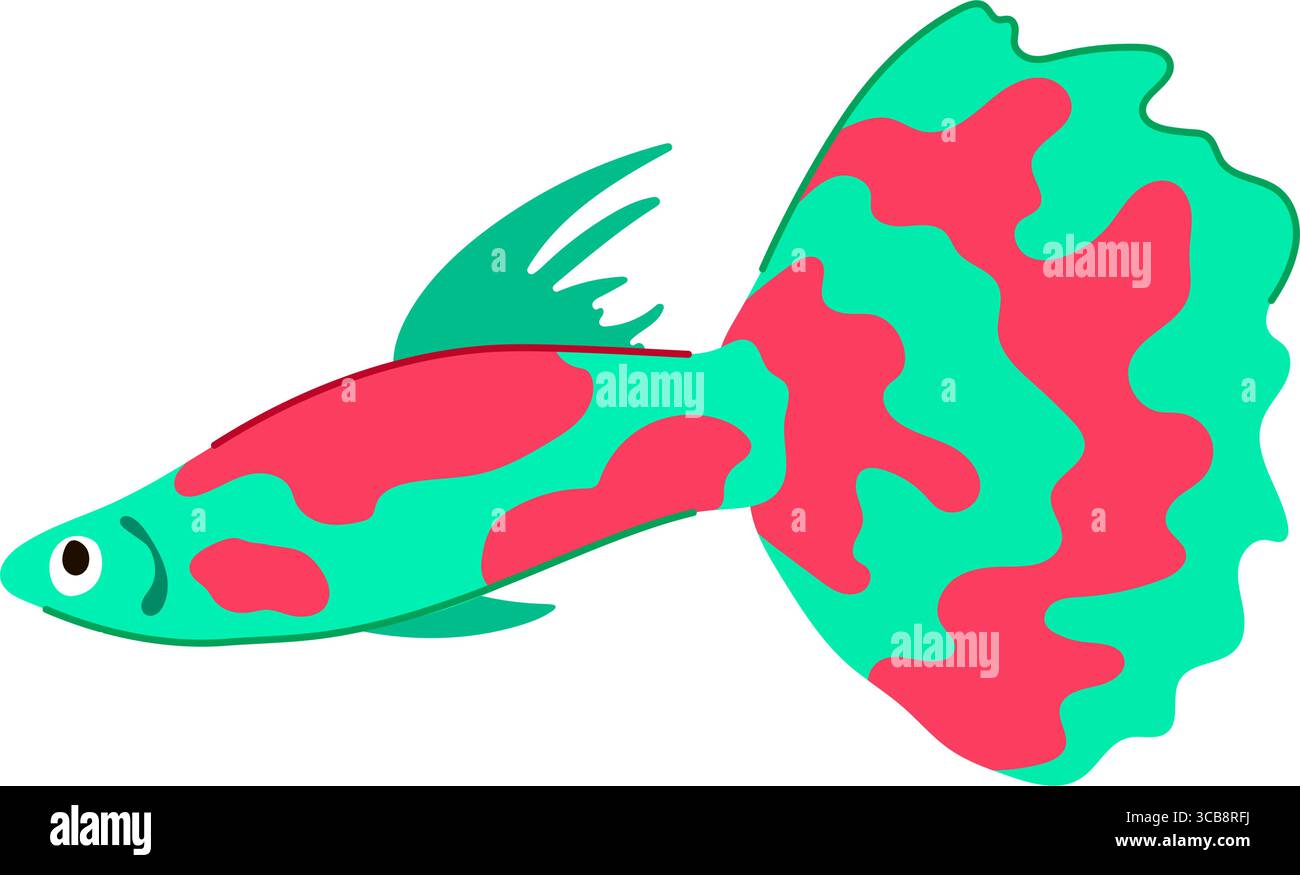 discus exotic fish cartoon vector illustration Stock Vector Image & Art ...