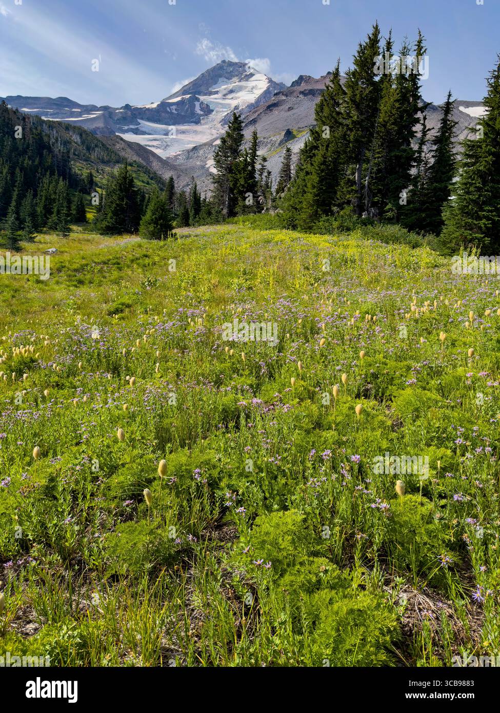 Majestic scenery green mount hi-res stock photography and images - Alamy