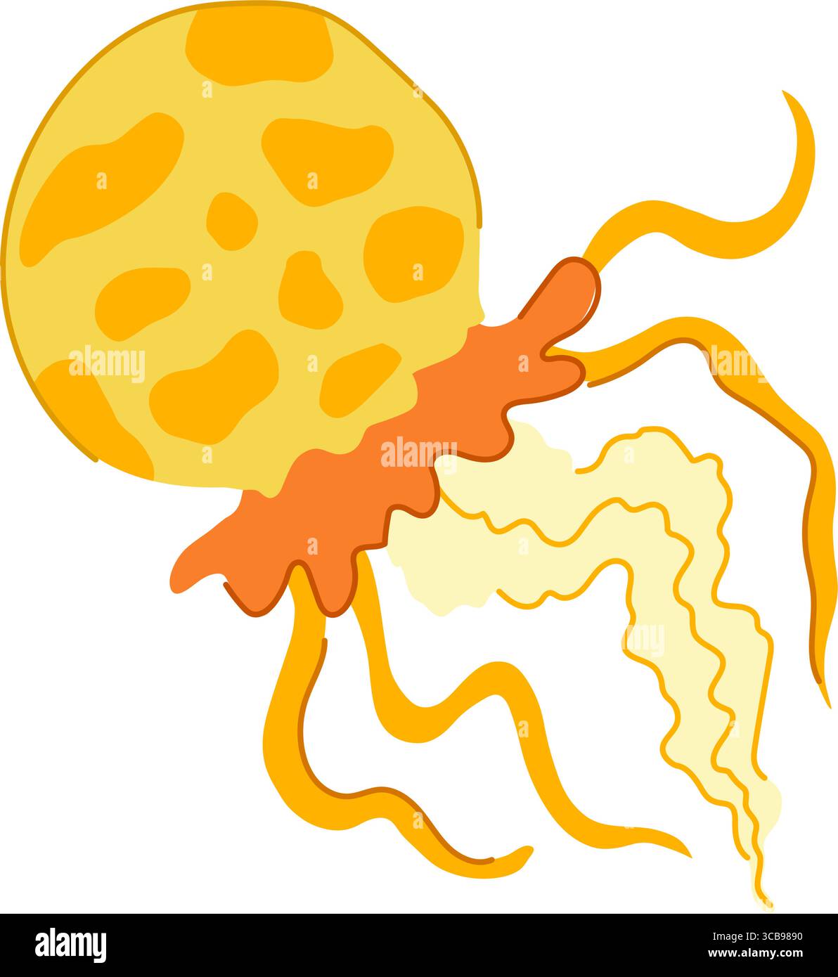 transparent jellyfish cartoon vector illustration Stock Vector Image ...