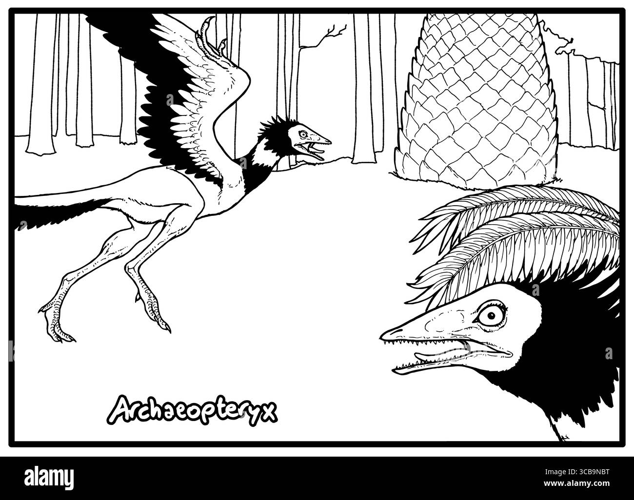 Bird to dinosaur Black and White Stock Photos & Images - Alamy