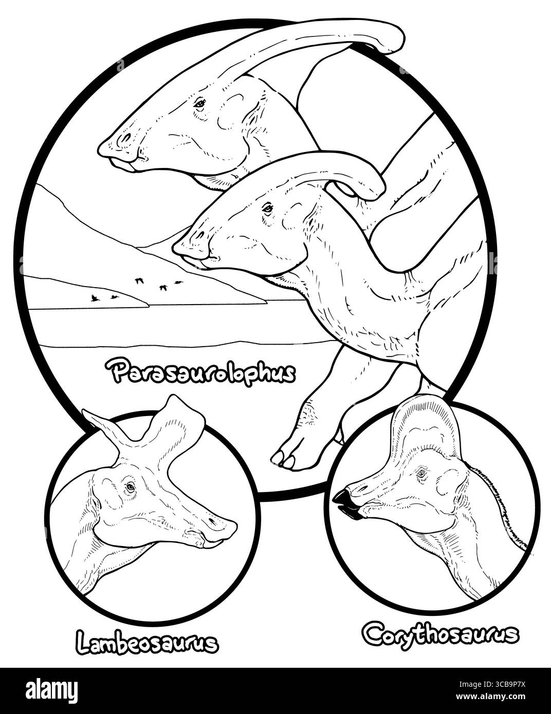 Parasaurolophus dinosaur coloring page Stock Photo - Alamy