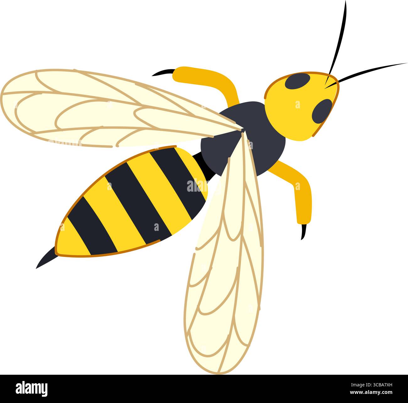 soar wasp cartoon vector illustration Stock Vector Image & Art - Alamy