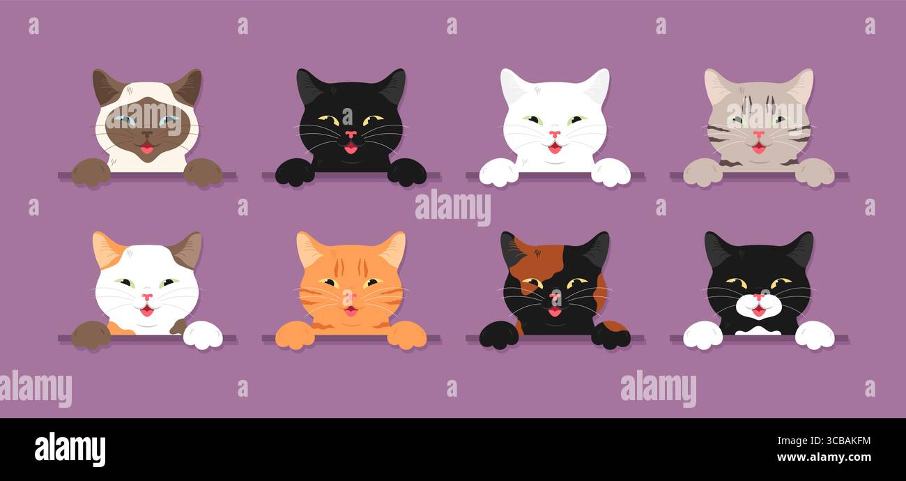 Funny cat kitten bicolor Stock Vector Images - Alamy