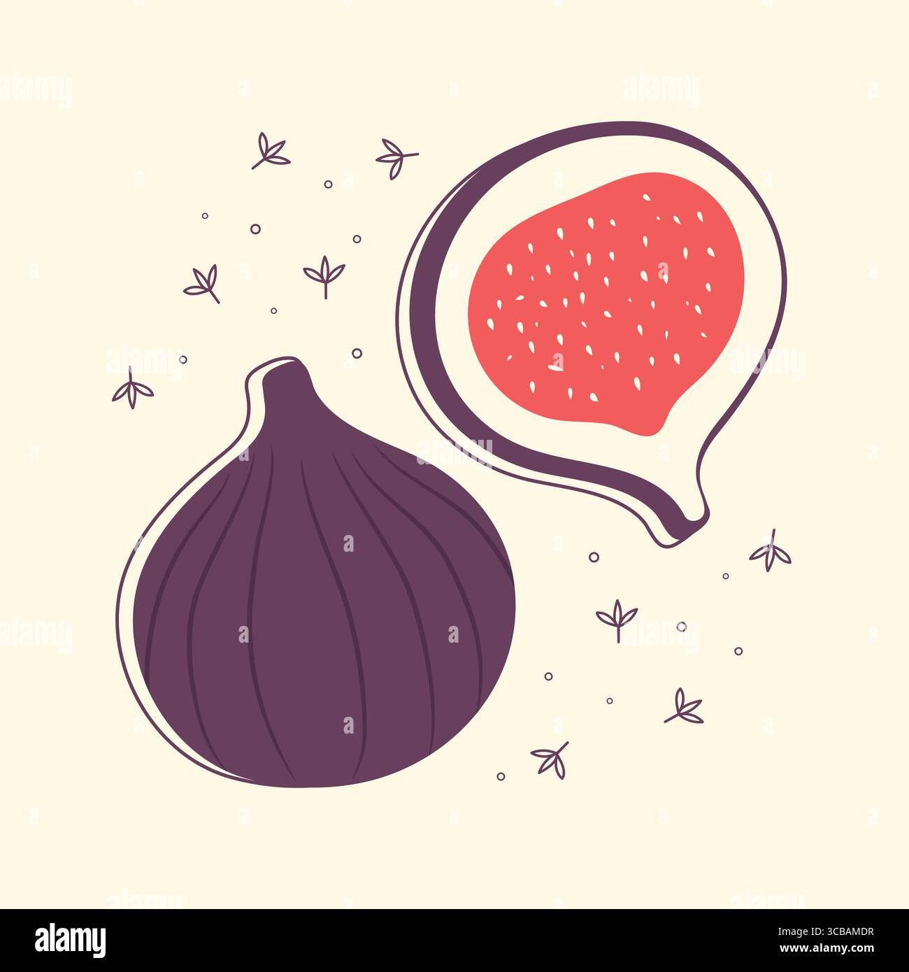 Hand drawn whole and sliced figs. Cartoon fig fruit. Vector ...