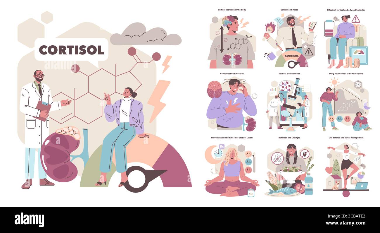 Cortisol related Cut Out Stock Images & Pictures - Alamy