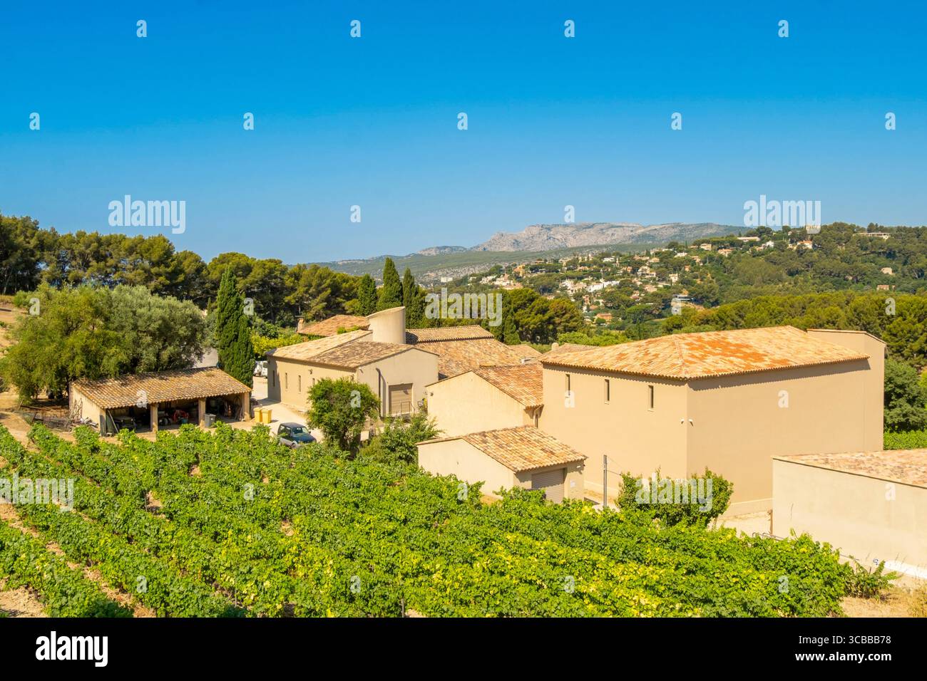 Cassis wines hi-res stock photography and images - Alamy
