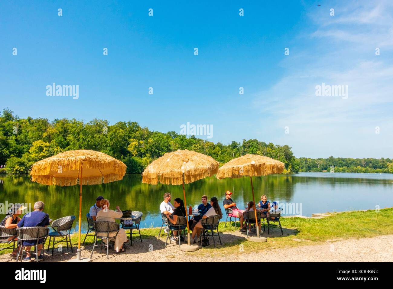Chantilly forest france hi-res stock photography and images - Alamy