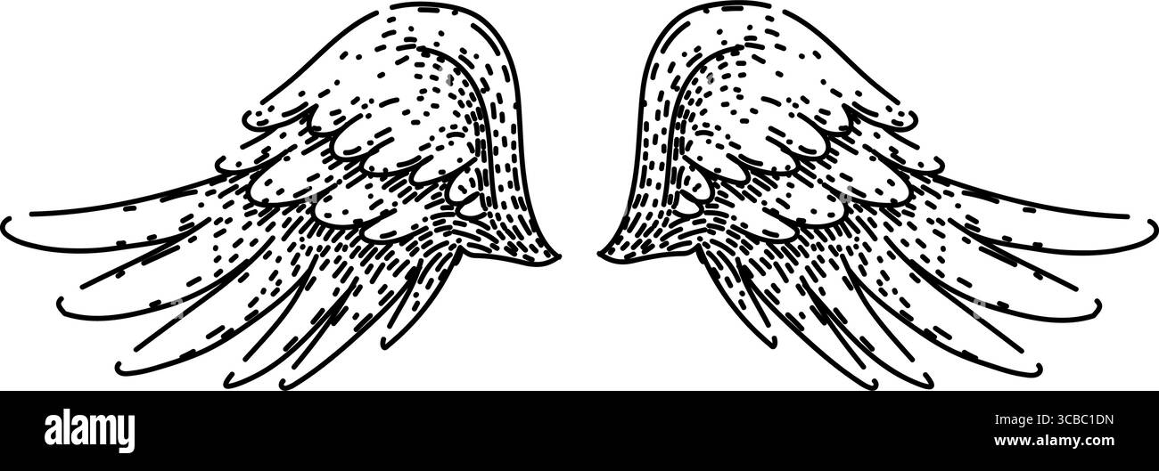 aviation wings sketch hand drawn vector Stock Vector Image & Art - Alamy