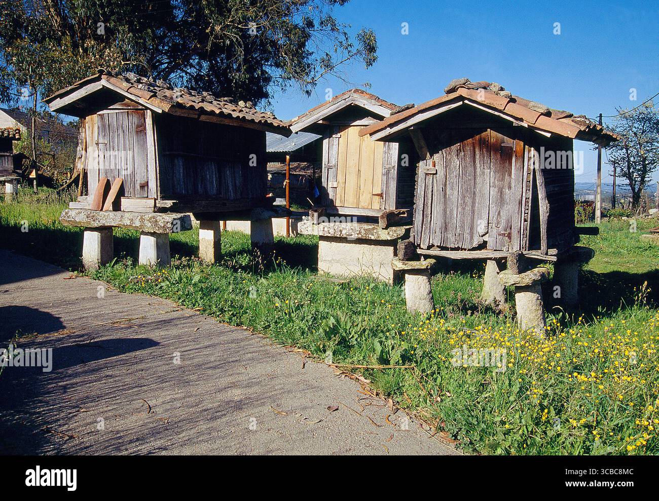 Aldea galicia hi-res stock photography and images - Alamy