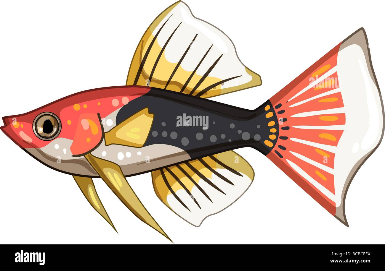 discus decorative fish cartoon vector illustration Stock Vector Image ...