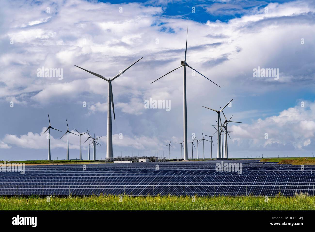 Vopak Solarpark Eemshaven, 19 Hektar Solarmodule mit einer Leistung von ...