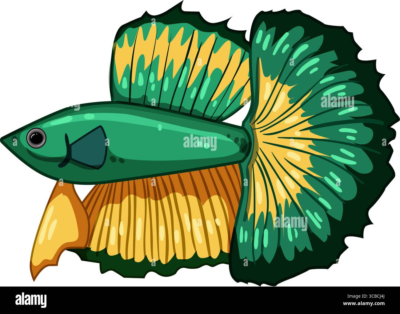 oscar exotic fish cartoon vector illustration Stock Vector Image & Art ...