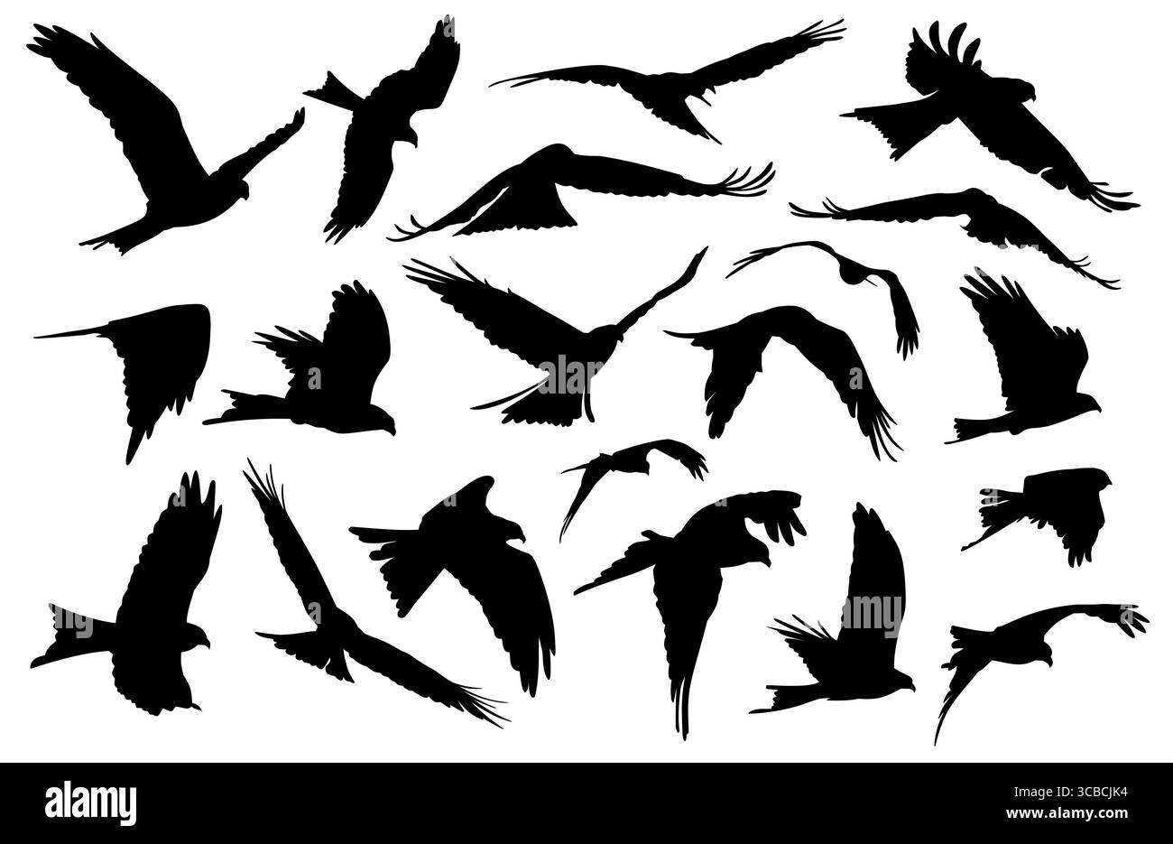 The Set silhouettes of birds in flight Stock Vector Image & Art - Alamy