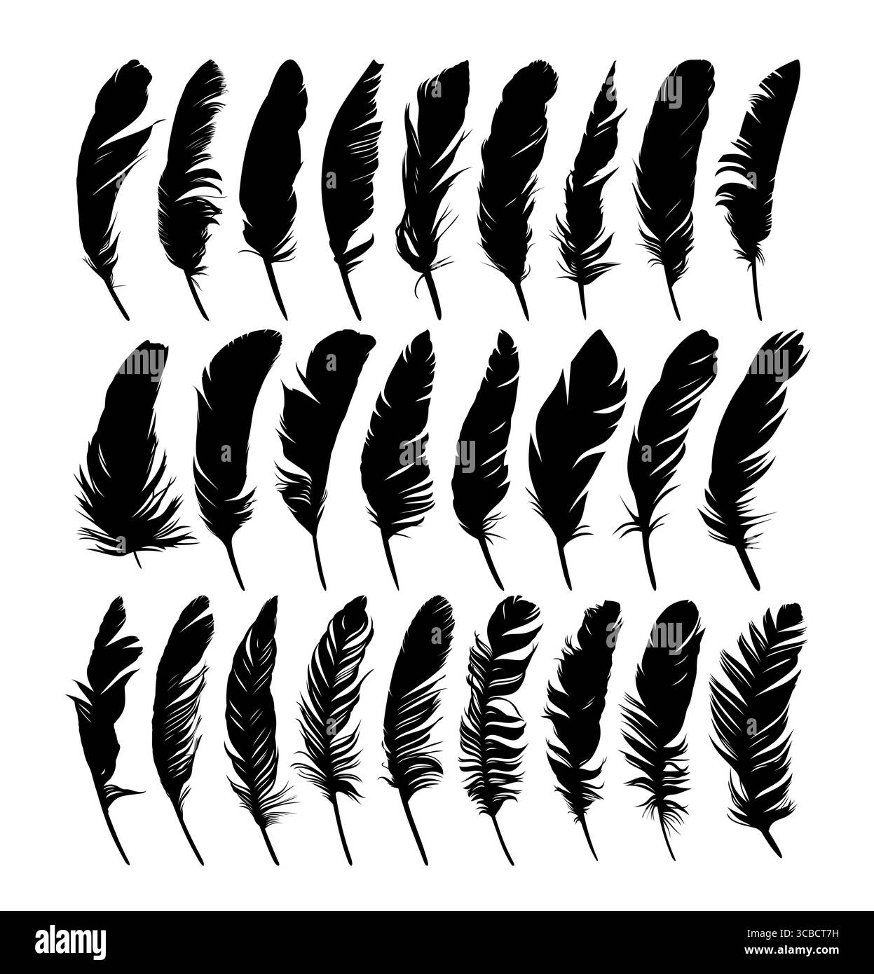 Types bird feathers Cut Out Stock Images & Pictures - Alamy