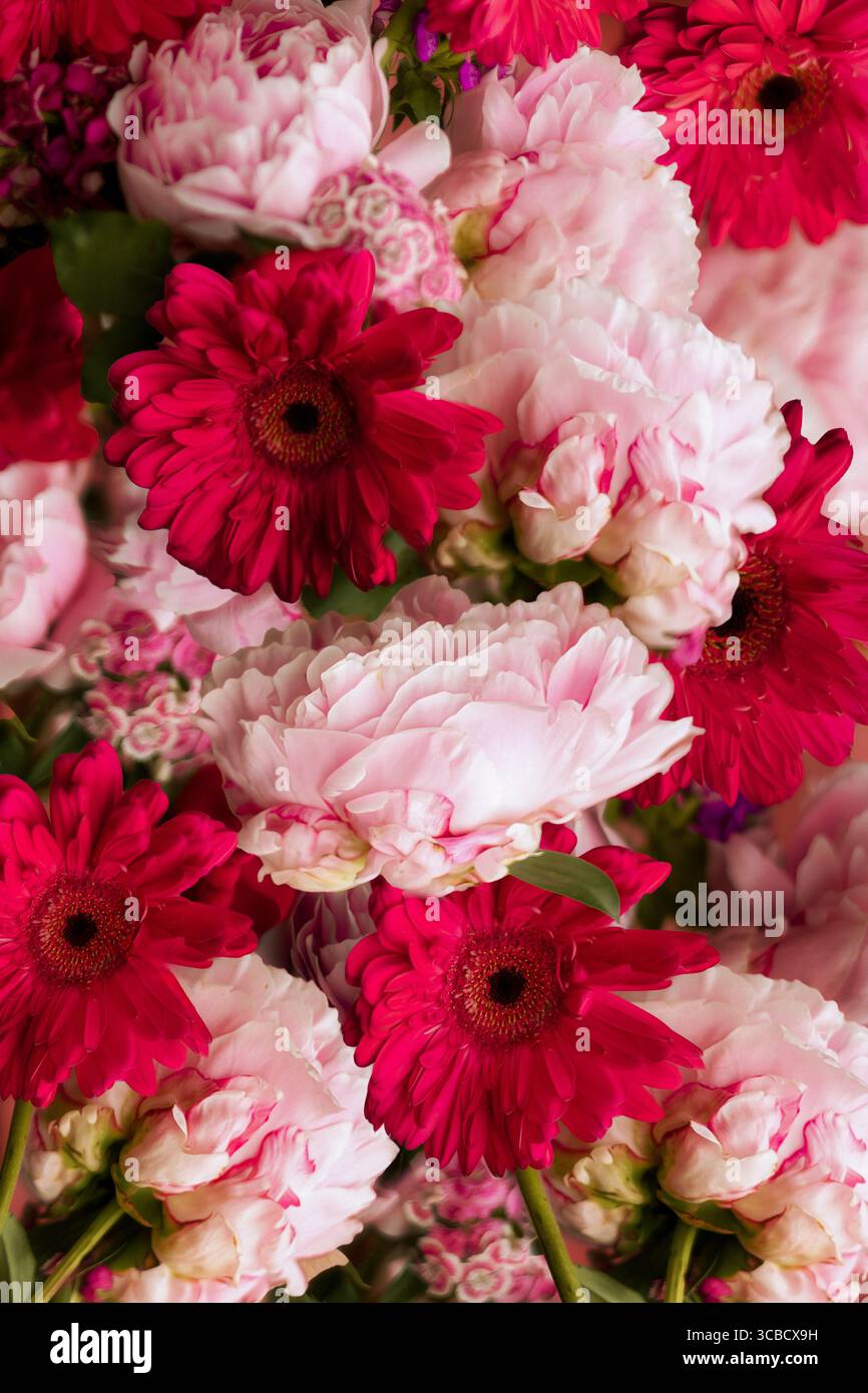 Colorful scene pink flowers hi-res stock photography and images - Alamy