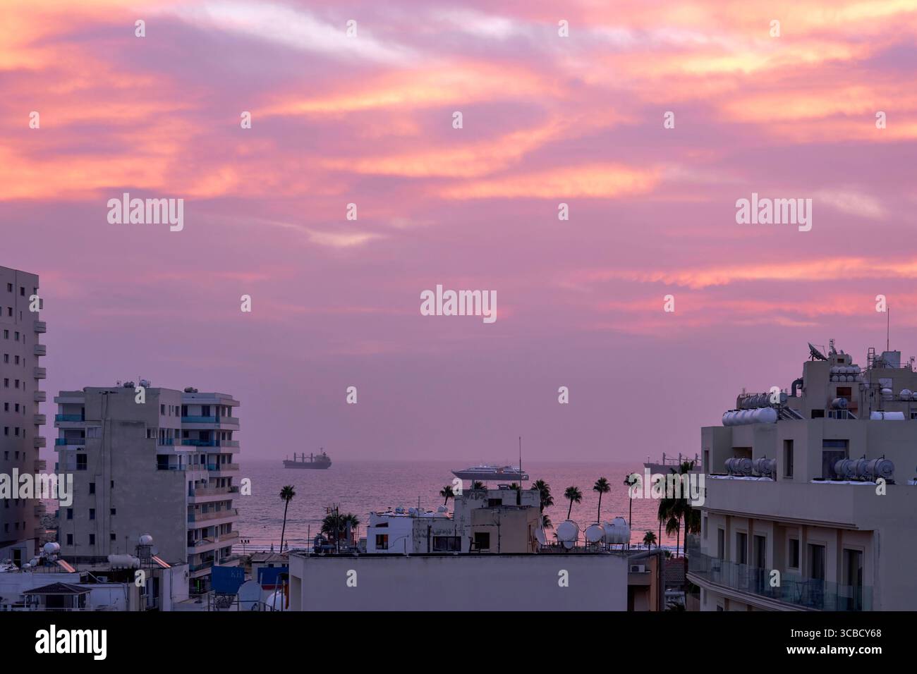 Palm tree sunset cyprus hi-res stock photography and images - Alamy