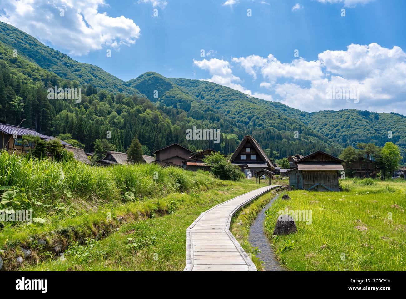 A narrow wooden walkway leads through the traditional thatched houses ...