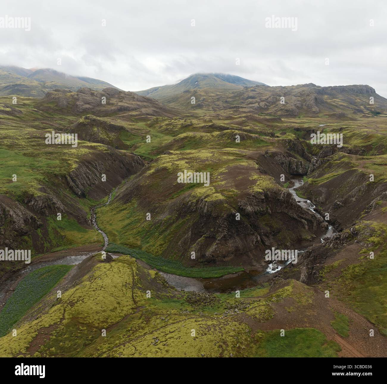 Panorama river lush environment hi-res stock photography and images - Alamy