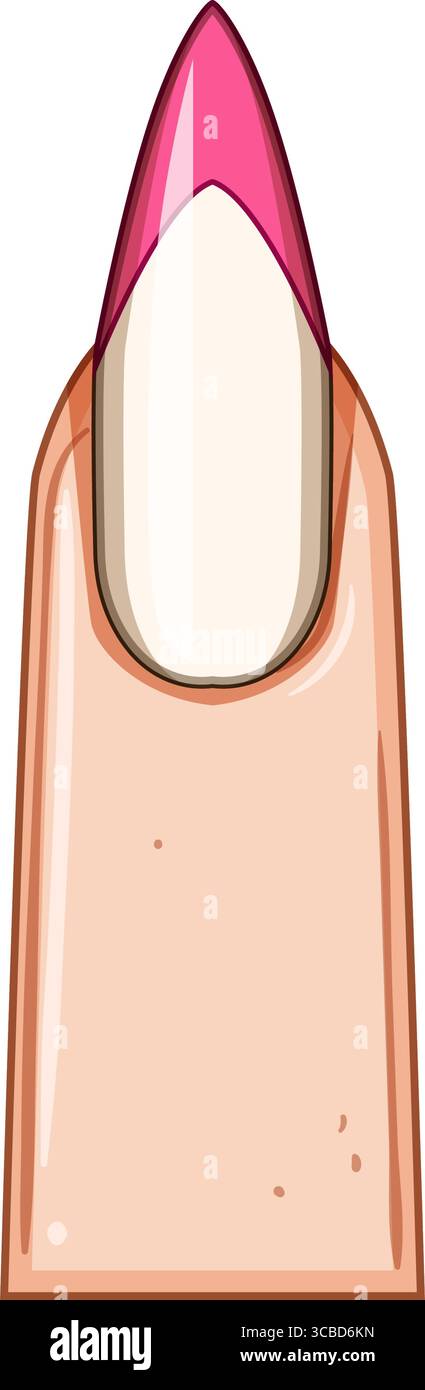 round nail shape cartoon vector illustration Stock Vector Image & Art ...