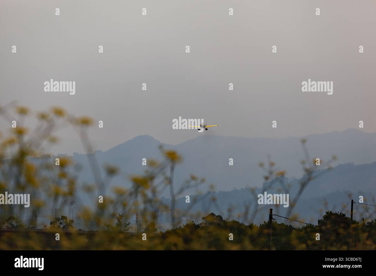 Viana do Castelo, Portugal - July 29, 2025: Yellow Air Tractor AT-802F Fire Boss EC-MML ...