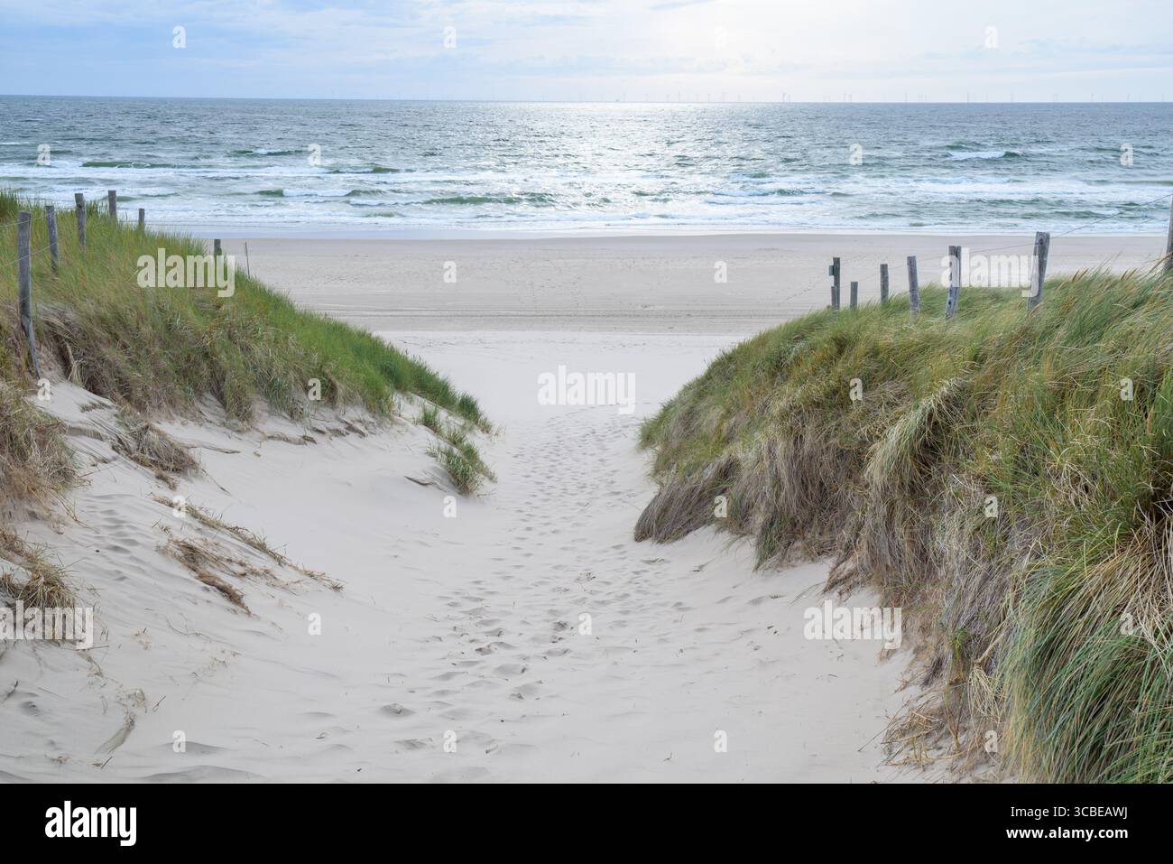 Serene beach pathway framed hi-res stock photography and images - Alamy