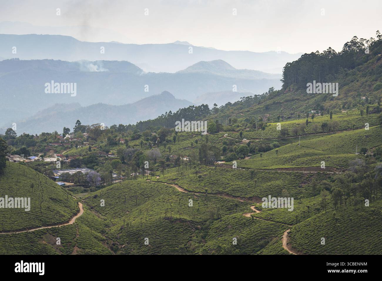 Munnar city with tea plantation, South India, landscape with fields in ...