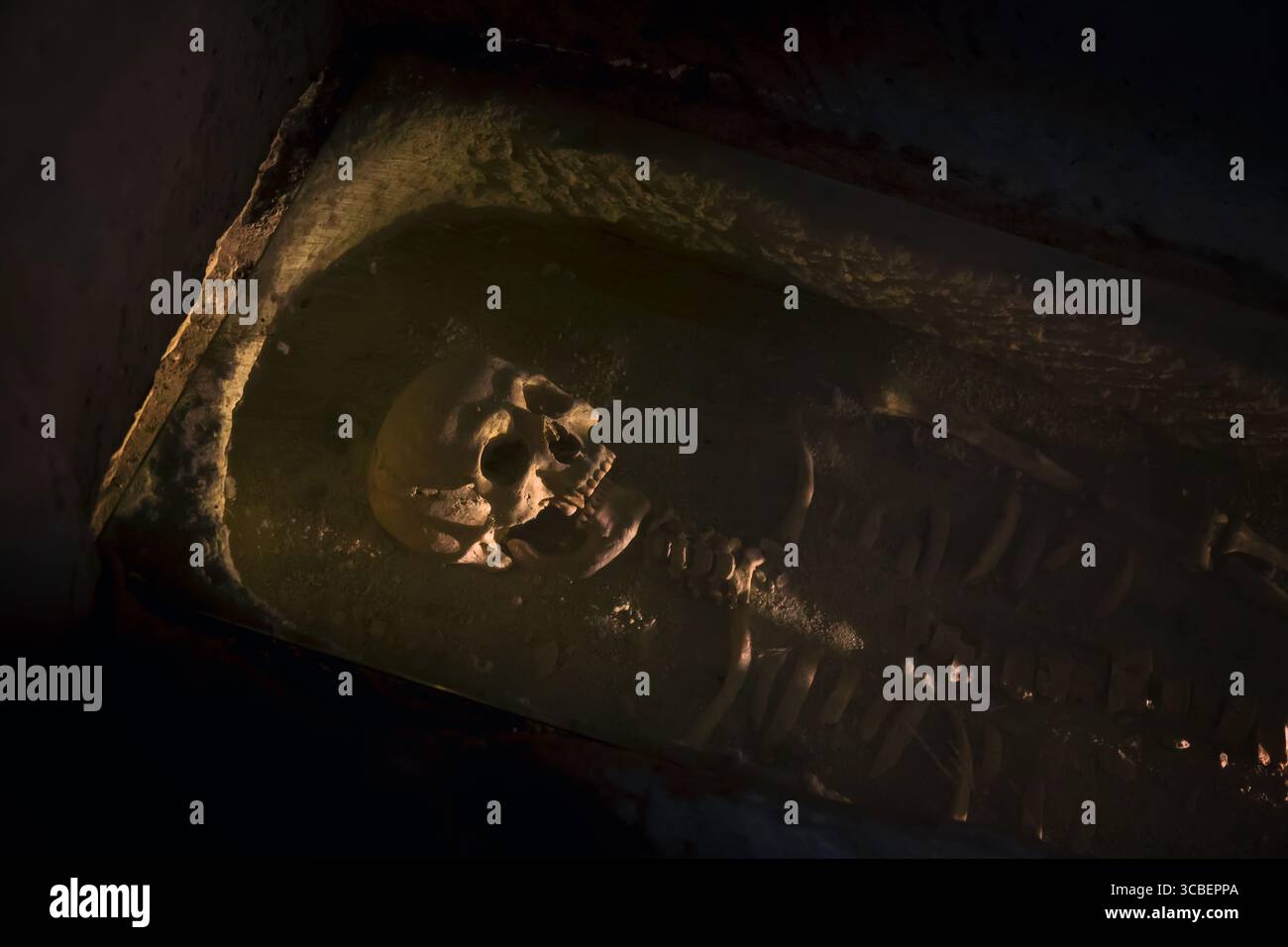 Old human skeleton in an ancient tomb Stock Photo - Alamy
