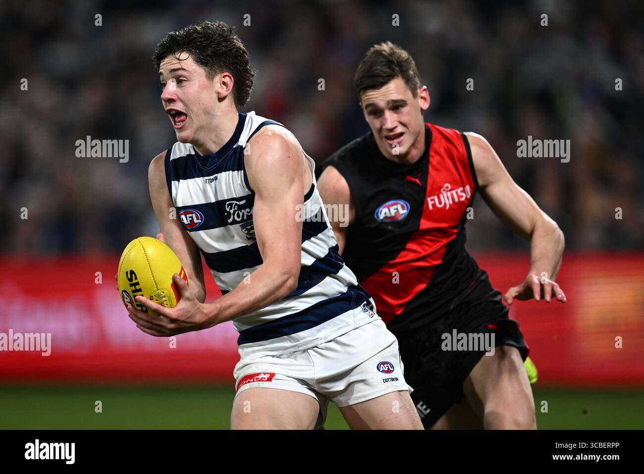Connor O'Sullivan of Geelong during the AFL Round 22 match between the ...