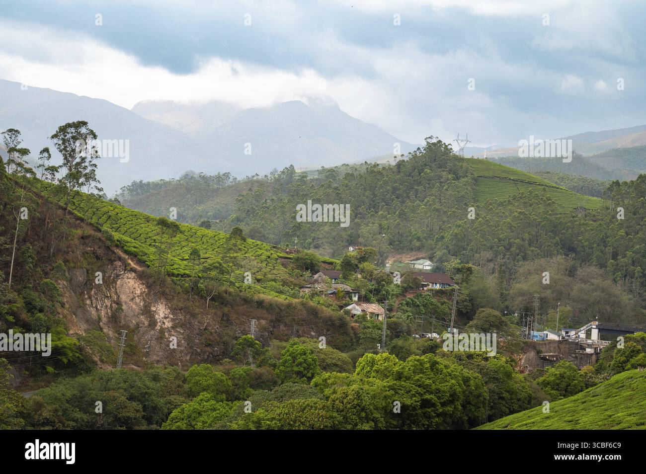 Munnar city with tea plantation, South India, landscape with fields in ...